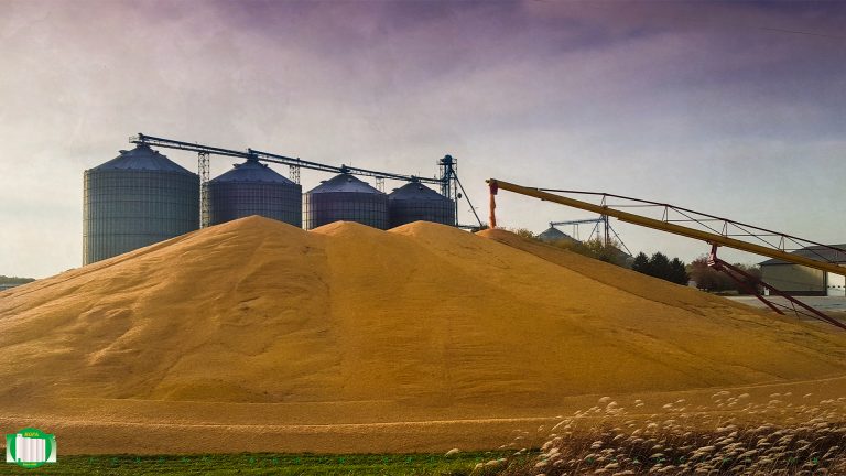 KGFA | We’re STANDING UP for Grain Safety: Today, Fall Protection ...