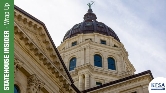 KGFA | Kansas Statehouse Insider, Veto Session Review